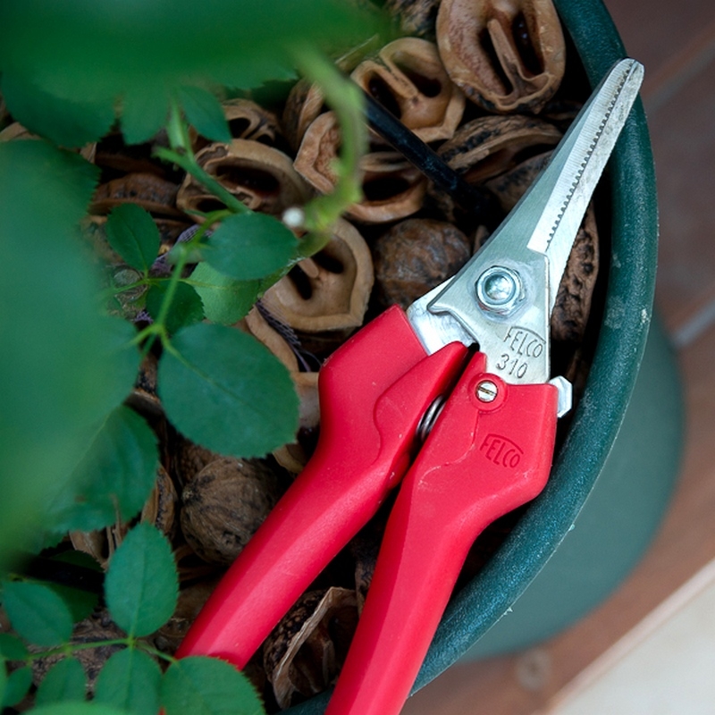 Cutting And Pruning Tools - Felco Secateurs, Harvesting Scissors, Silky ...