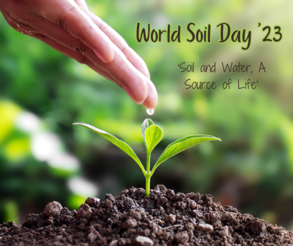 Soil Day Quotes World Soil Day Messages, Best Quotes, Slogans And