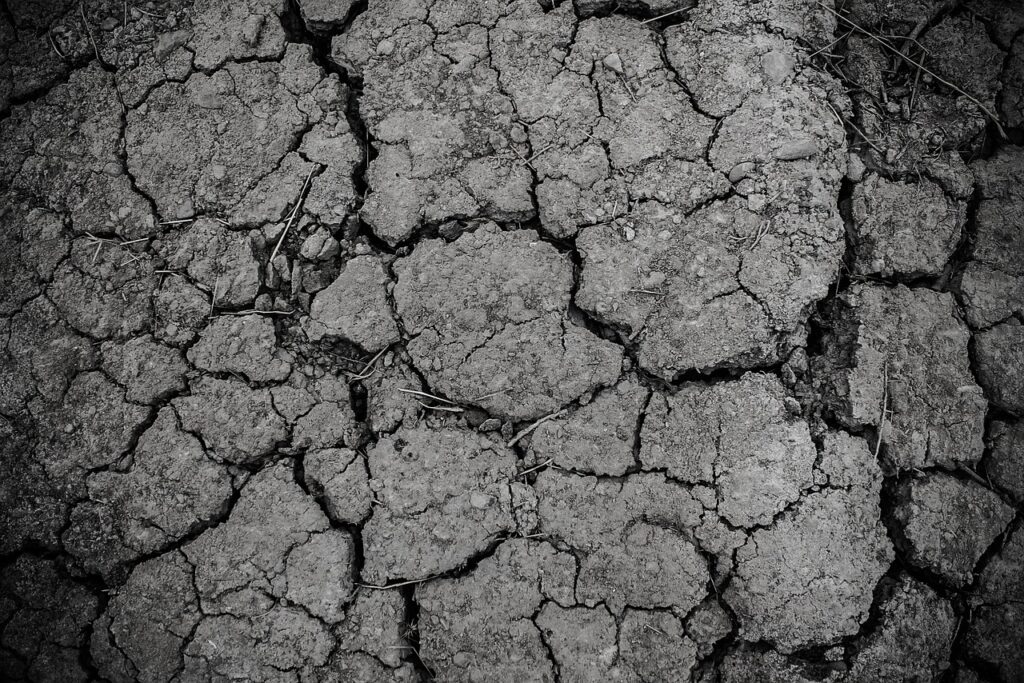 Soil Health - Regenerative Agriculture | Fruit Hill Farm Blog